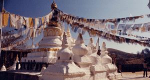 Dhanyakataka: A Prominent Buddhist Center – Indo-Buddhist Heritage Forum